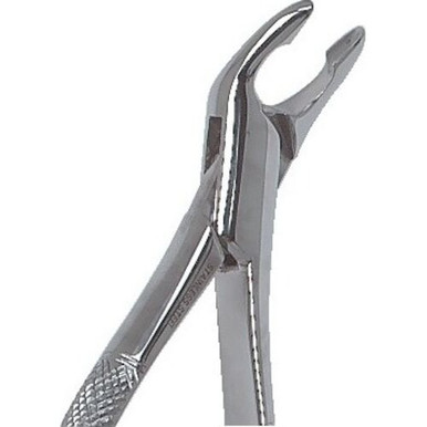 Stainless Steel Extraction Forceps #151A - Dental Wholesale Direct