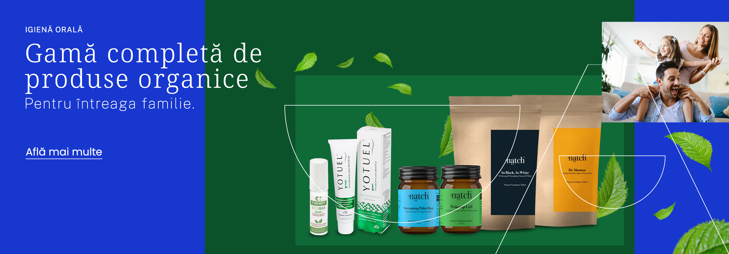 Dentamerica Distribution: Igiena orala, consumabile stomatologice ...