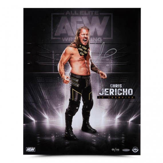 Chris Jericho Autographed "AEW Stage" 16x20 - Midwest Cards