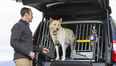 MIM Safe VarioGate System (Double) | Crash Tested | Canine Safety