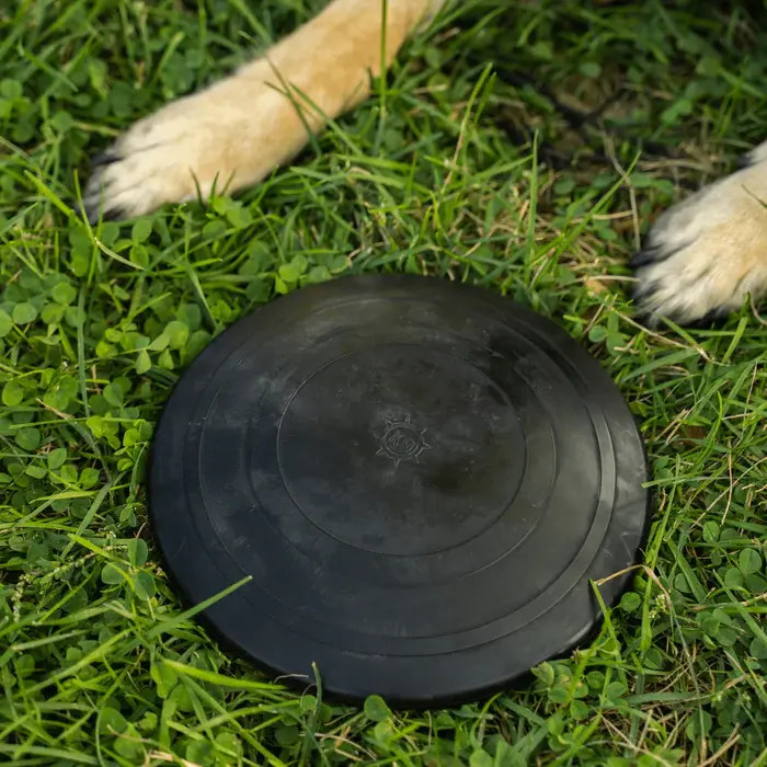 Aero Disc Frisbee | Trainer Approved | Monster K9