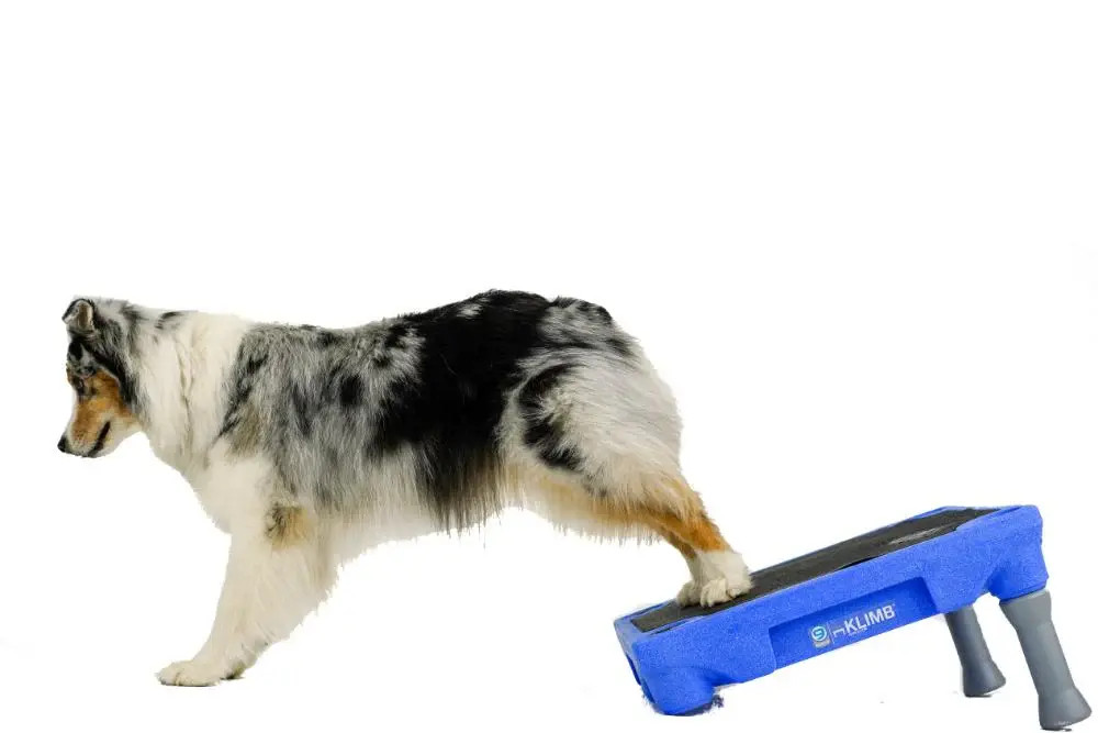 The KLIMB Traction Mat | Easy Grip Dog Platform Accessory - J&J Dog ...