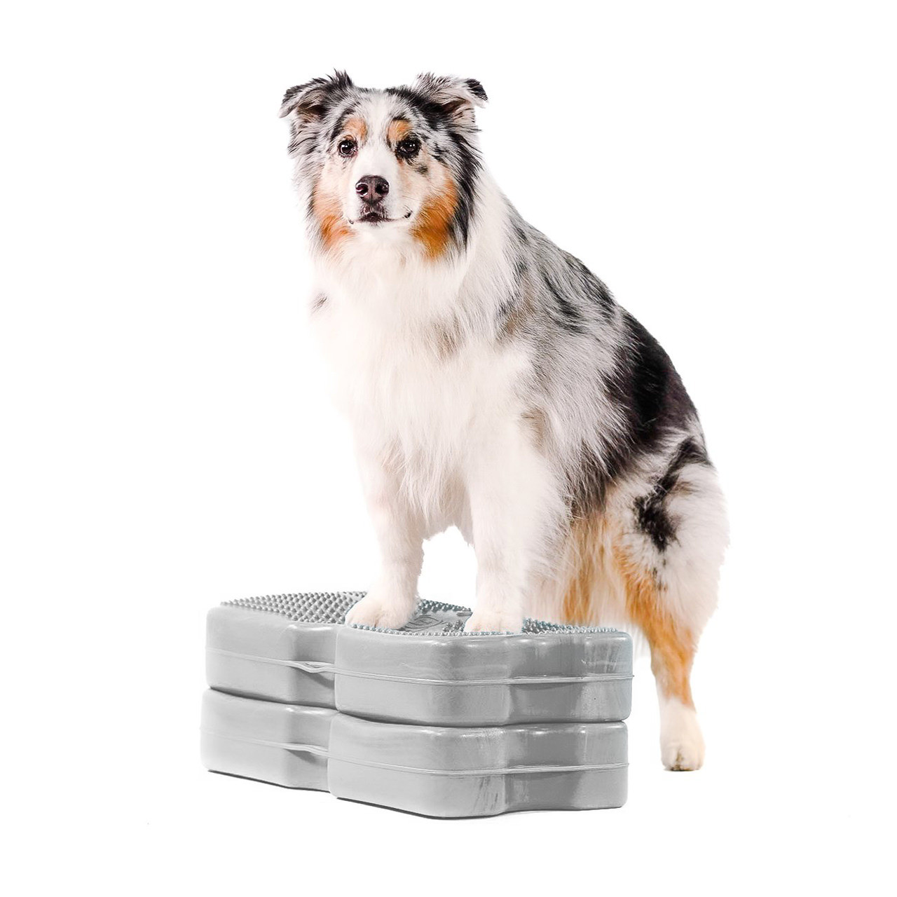 KLIMB Propel Air Platform | Balance Training For Dogs | Dog Conditioning