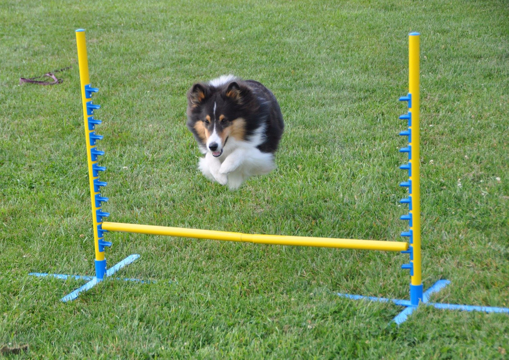 Ready Jump 42" Portable Kit | Compact Ready Jump | Lightweight Practice ...