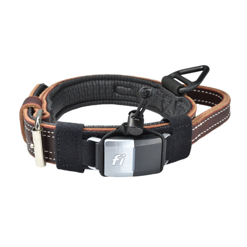 Fi Series 3 Compatible Modular Collar Mount | Dog Accessory Attachment ...