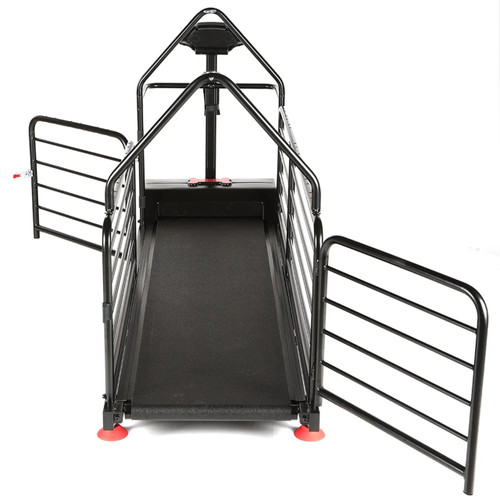 Dog Runner Revolution Pro Treadmill | Canine Conditioning | Dog ...