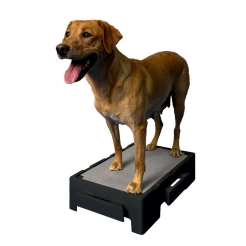 KLIMB Jr. Platform | Easy Grip Dog Platform - J&J Dog Supplies