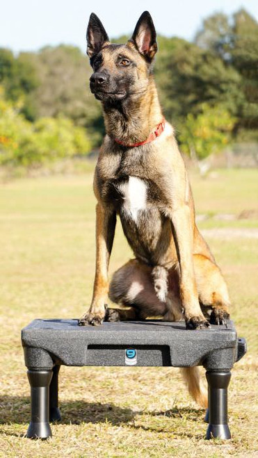 The KLIMB Professional Grade Platform | Easy Grip Dog Platform - J&J ...