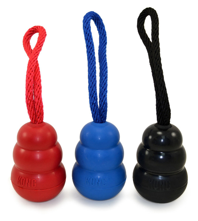 KONG Gyro | Interactive Dog Toy - J&J Dog Supplies