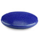 FitPAWS Balance Disc | Exercise Tool for Dogs - J&J Dog Supplies
