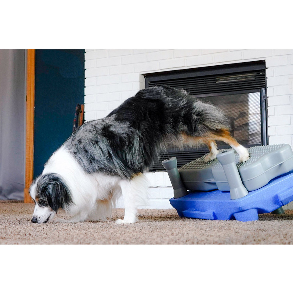 KLIMB Propel Air Platform | Balance Training For Dogs | Dog Conditioning