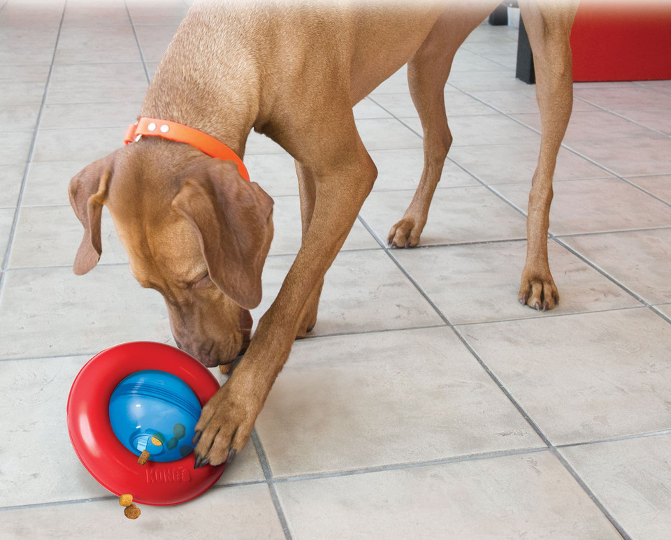 KONG Gyro | Interactive Dog Toy - J&J Dog Supplies