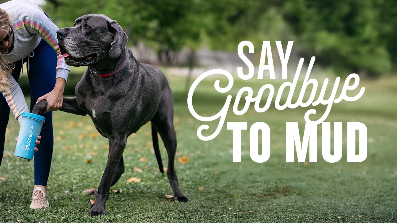 MudBuster: The Ultimate Dog Paw Cleaner for Mess-Free Adventures - J&J ...