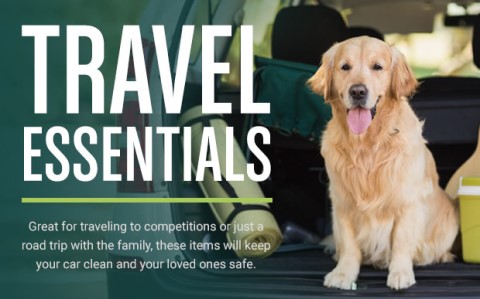 5 Ways To Make Your Road Trip With Your Dog Stress-Free - J&J Dog Supplies