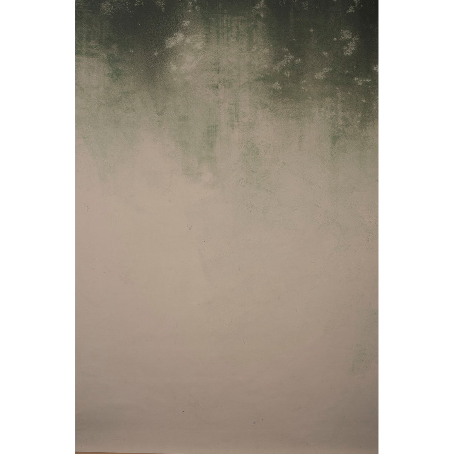 Limited Edition Collection - Page 1 - Gravity Backdrops