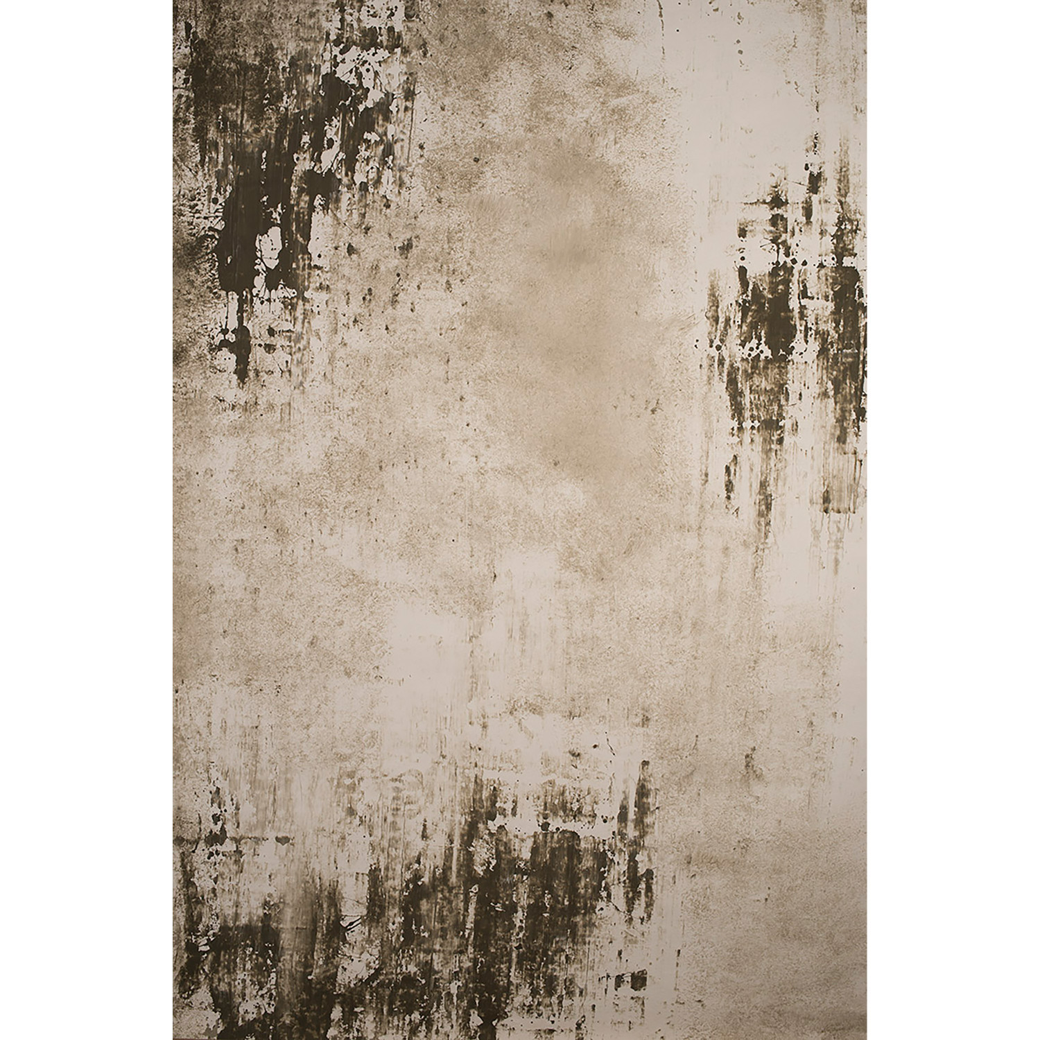 Limited Edition Collection - Page 1 - Gravity Backdrops