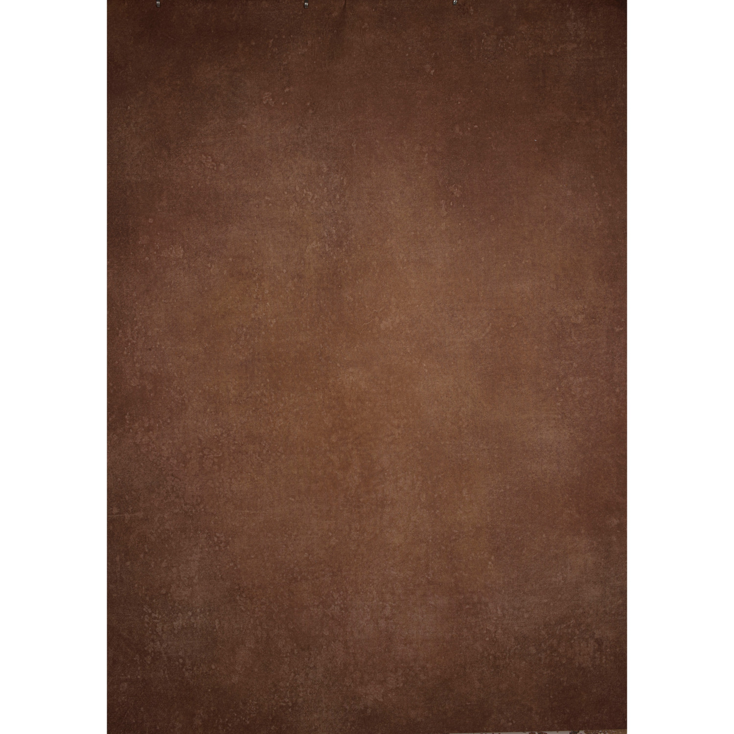 Limited Edition Collection - Page 1 - Gravity Backdrops