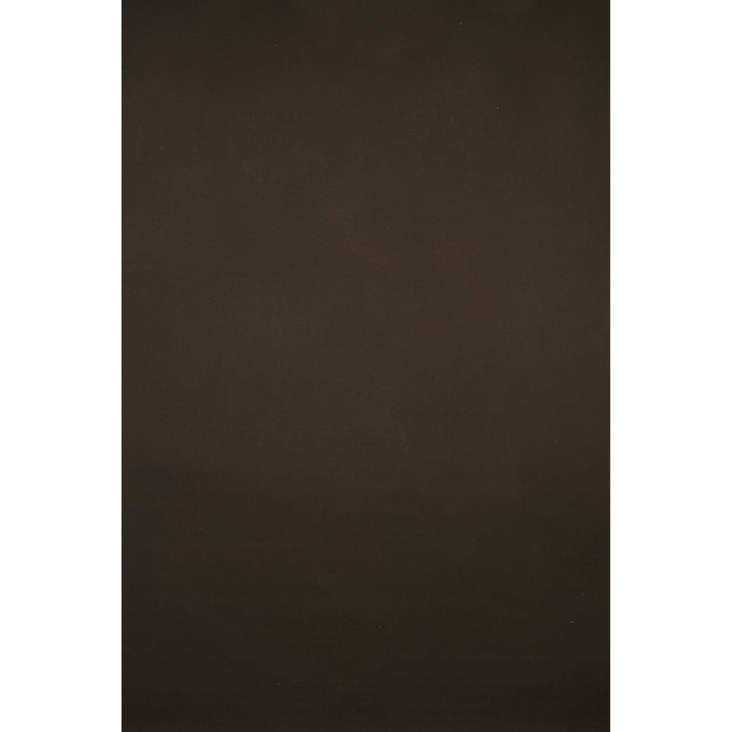 Limited Edition Collection - Page 1 - Gravity Backdrops