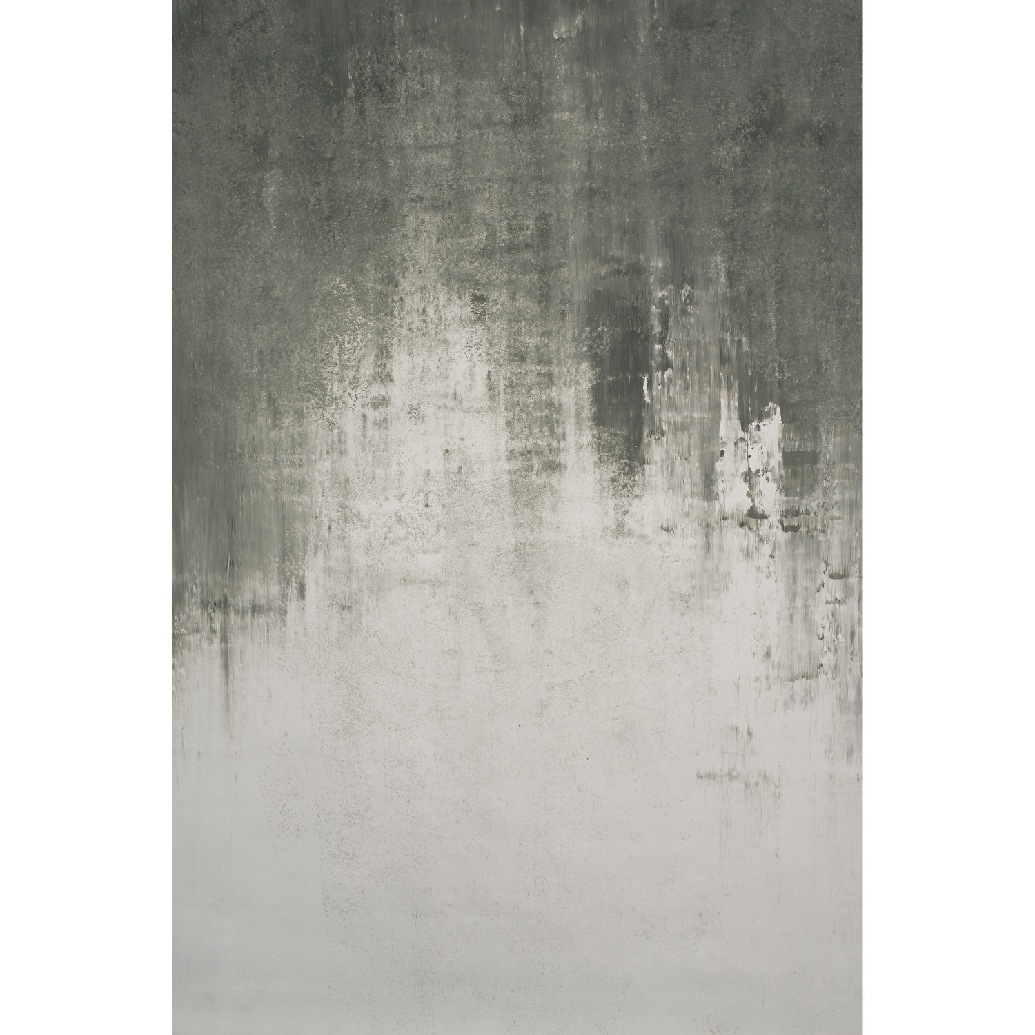 Limited Edition Collection - Page 1 - Gravity Backdrops