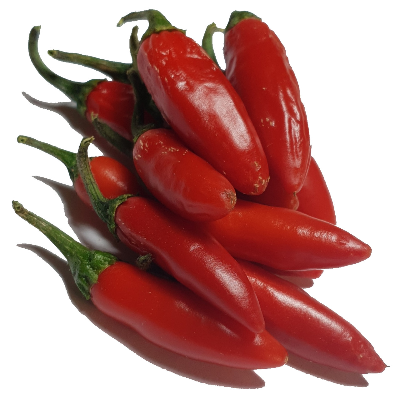 Serrano Huasteco Chilli Seeds by CHILLIESontheWEB