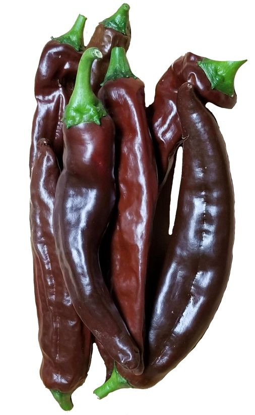 Vallero Chilli Seeds by CHILLIESontheWEB