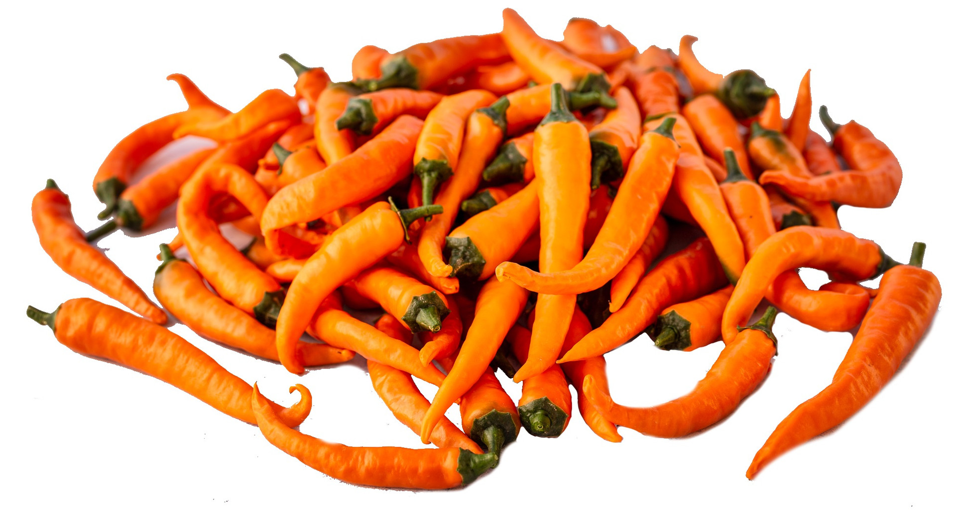 Cayenne Orange Chilli Seeds | Chillies on the Web