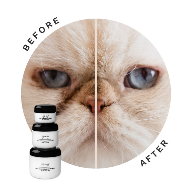Eye Envy Tear Stain Remover Powder for Dogs & Cats