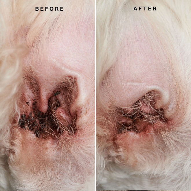 Eye Envy Ear Cleaning Solution for Pets. Natural and Safe