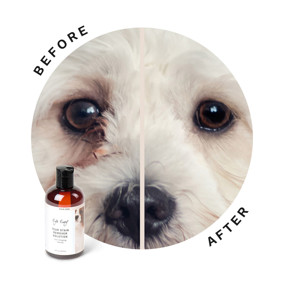 Eye Envy Tear Stain Remover for Dogs and Cats