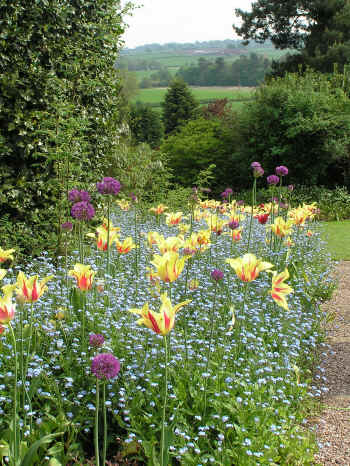 Our Silver Flora Award and Easter Weekend Shows - Hooks Green Herbs