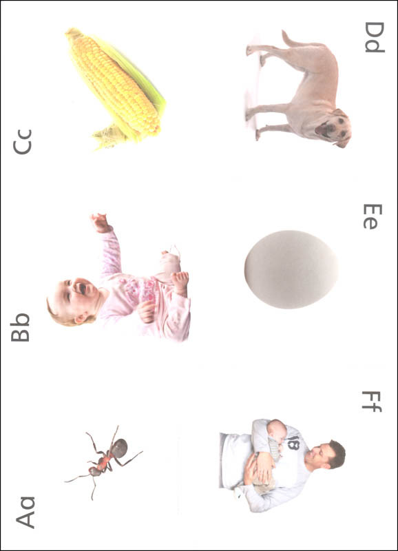 MCP Plaid Phonics Level K Bundle Grade K - Classroom Resource Center