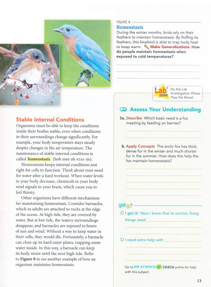 Interactive Science Grades 6-8 Life Science Student Workbook ...