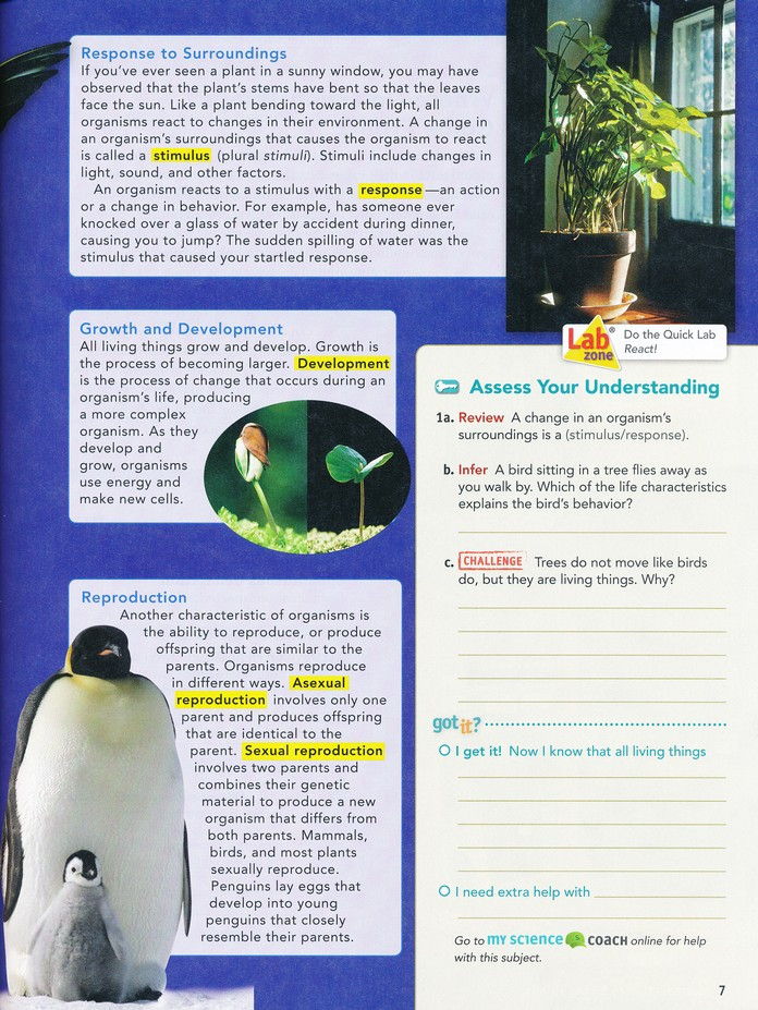 Interactive Science Grades 6-8 Life Science Student Workbook ...