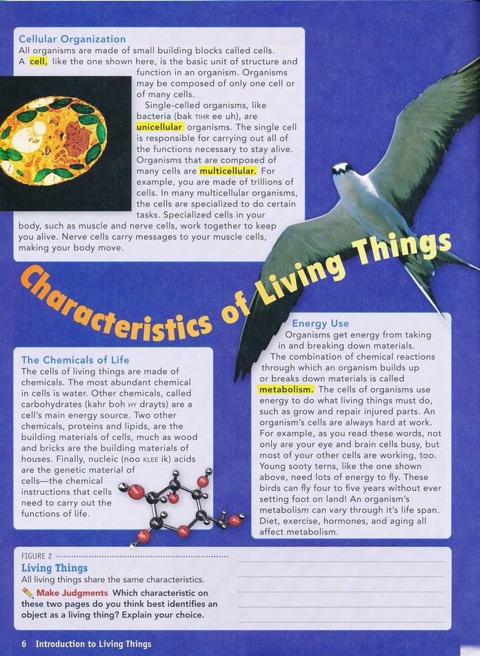 Interactive Science Grades 6-8 Life Science Student Workbook ...