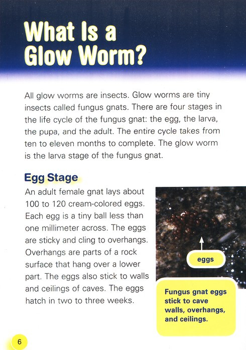 Making Connections Grade 4 Reader Starter Set - Classroom Resource Center