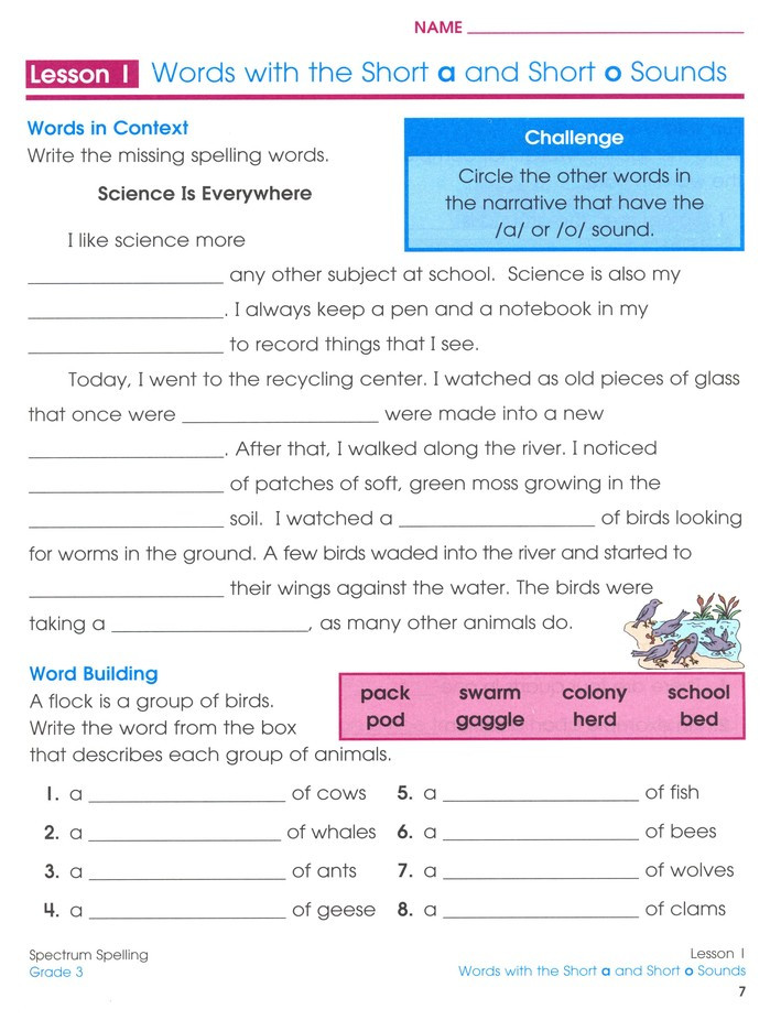 Spectrum Spelling Grade 3 - Classroom Resource Center