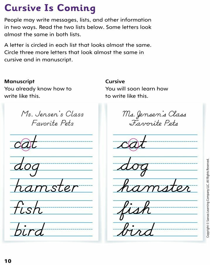 D'nealian Handwriting Grade K Bundle