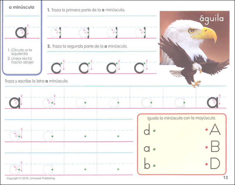 Universal Handwriting Grade PK/K: Trazos Basicos y Letras
