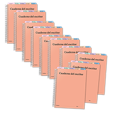 Writer's Notebook Intermediate Grades 3-4 (25 pack)