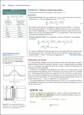 AP Calculus: Graphing, Algebraic, Numerical Grades 9-12 Bundle