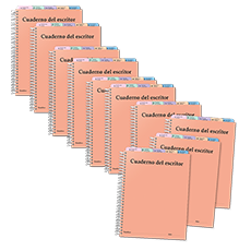 Writer's Notebook Intermediate Grades 3-4 (25 pack)