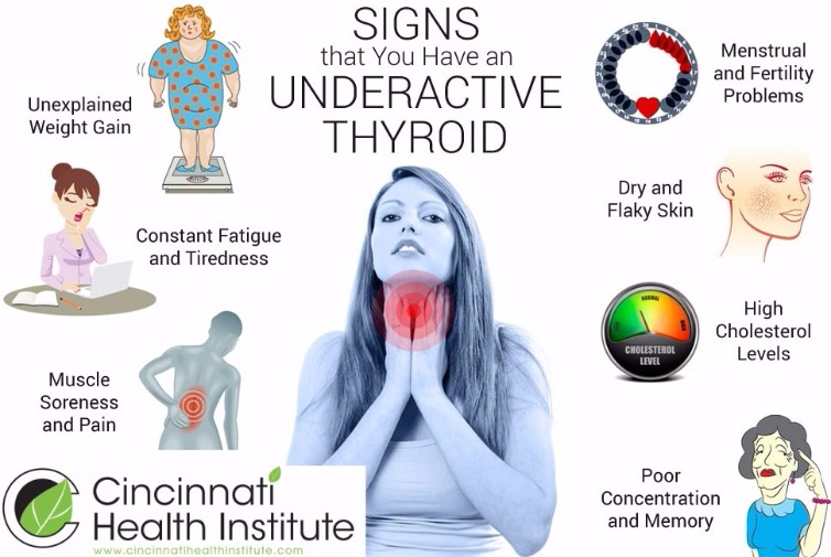 The Thyroid Connection - Cincinnati Health Institute
