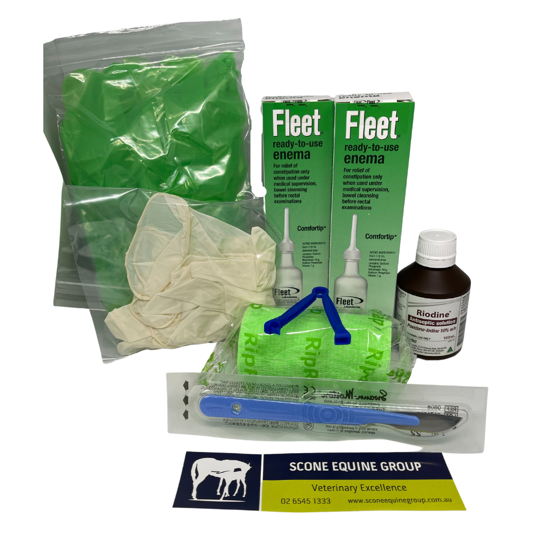 Foaling Kit | Scone Equine Group