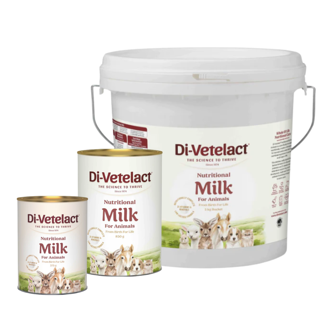 Di-Vetelact Nutritional Milk | Scone Equine Group