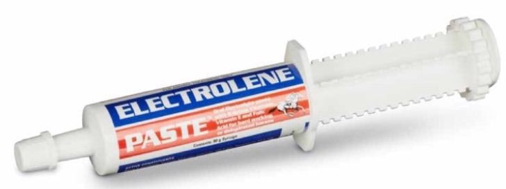 Electrolytes For Horses | Electrolytes Paste & Recharge Liquids