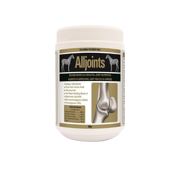 Terramycin Pink Eye Powder | Scone Equine Group