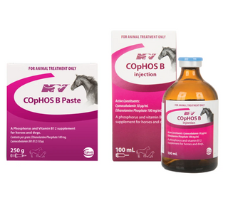 Horse Vitamins | Shop Injectable Supplements for Horses