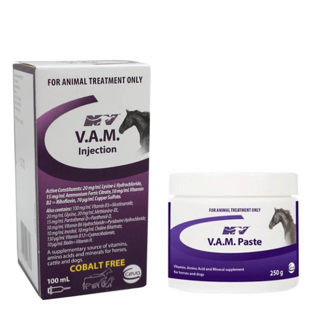 Horse Vitamins | Shop Injectable Supplements for Horses