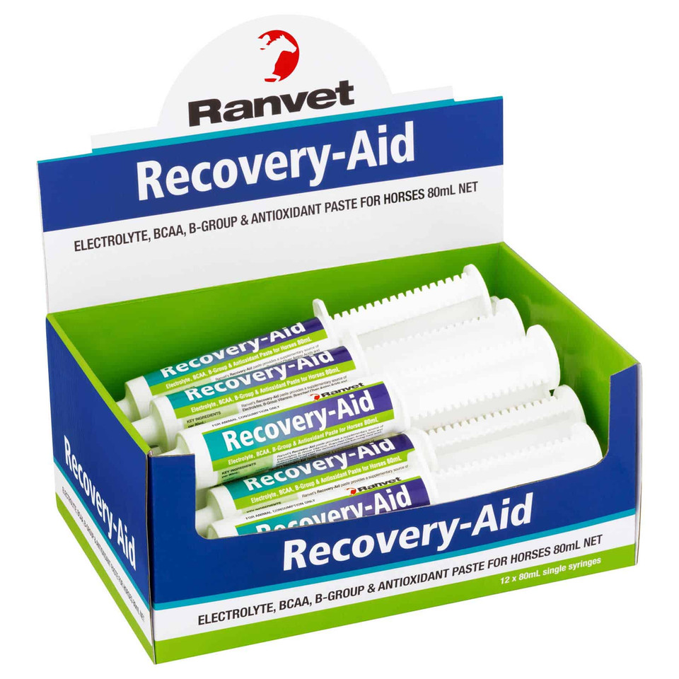 Proud-Aid | Scone Equine Group