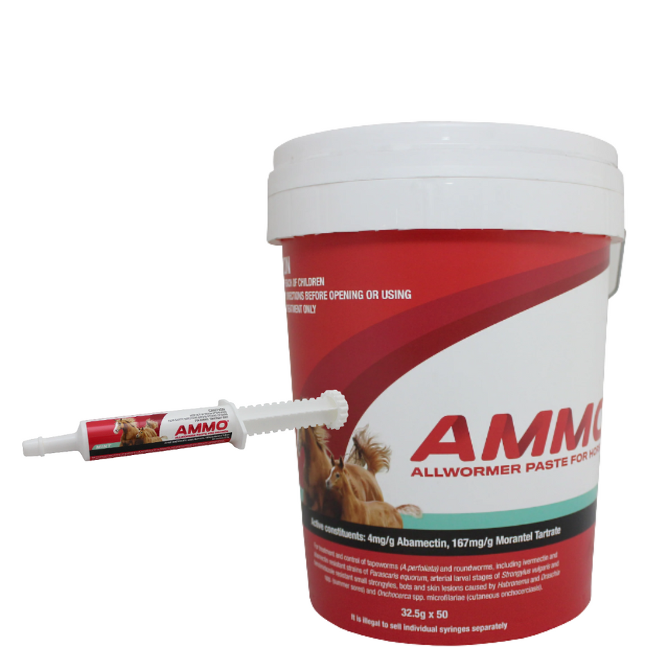 Shop Horse Wormers & Worm Paste - Scone Equine